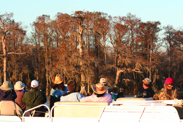 Cajun Coast | Tour Louisiana