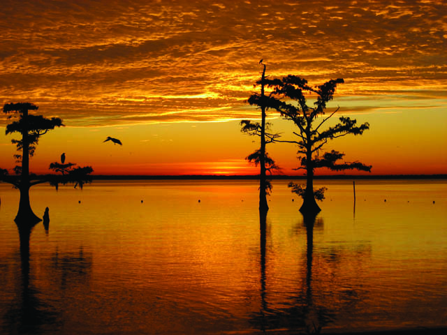 Cajun Coast | Tour Louisiana