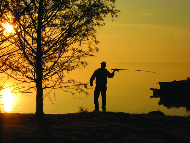 Cajun Coast | Tour Louisiana