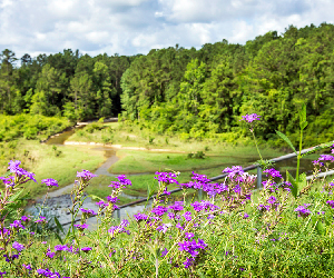 Attractions in Vernon Parish | Tour Louisiana